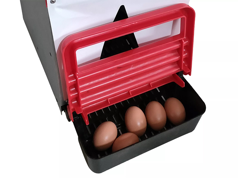 PP Sloping Collect Egg Tray/Basket With Perch For Steel Roll-Away ...
