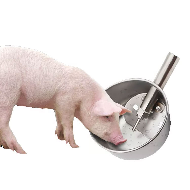 Automatic Pig Water Drinking Bowl Stainless Steel Sow Water Trough ...