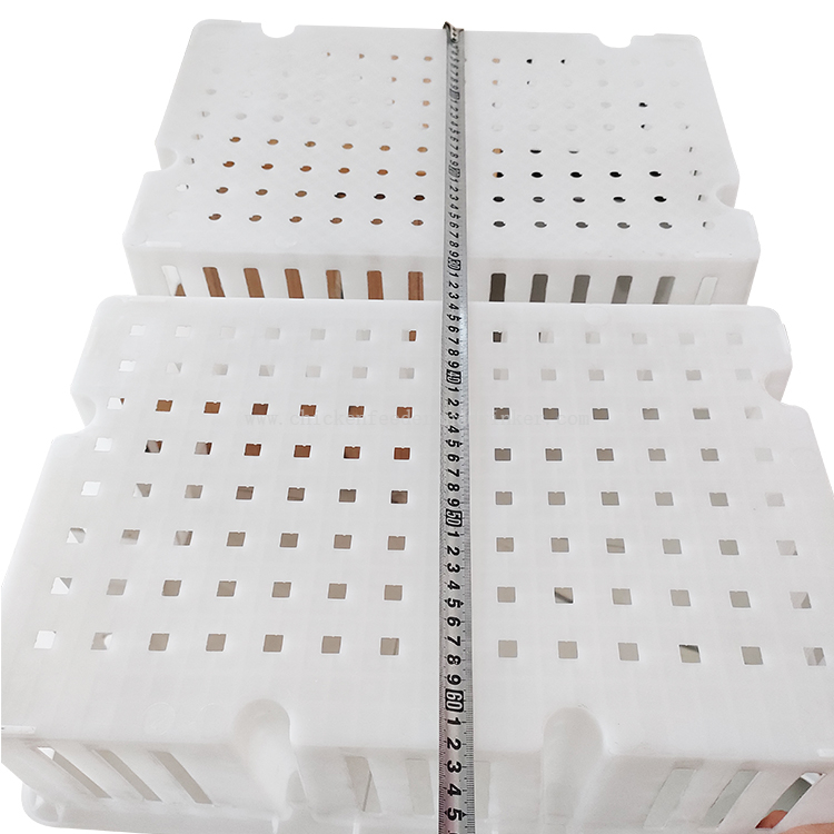Transport Plastic Chick Cages Chicken Transport Boxes Poultry Transfer ...